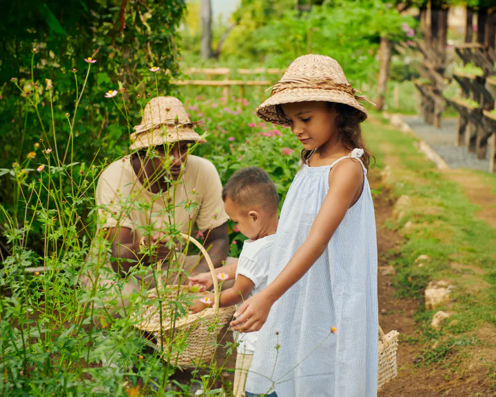 Escape to Luxury | Offers | AYANA Bali